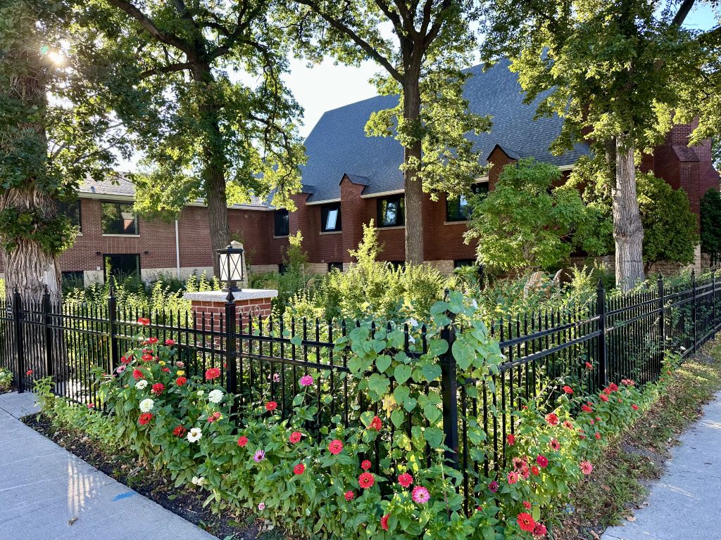 Meet up at the Square – Civic Muse